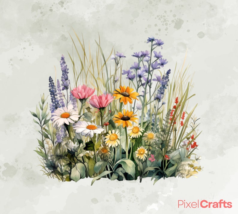 Watercolor Wildflower Clipart, Wild Flowers Clipart Bundle, Spring ...