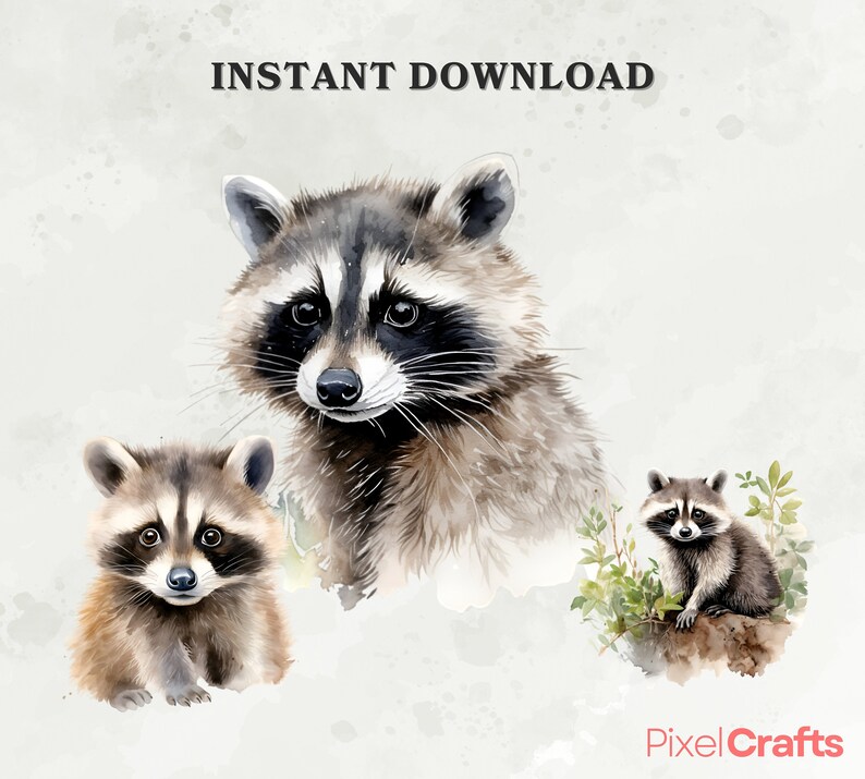 Watercolor Raccoon Clipart, Cute Raccoon Png, Floral Raccoon Stickers ...