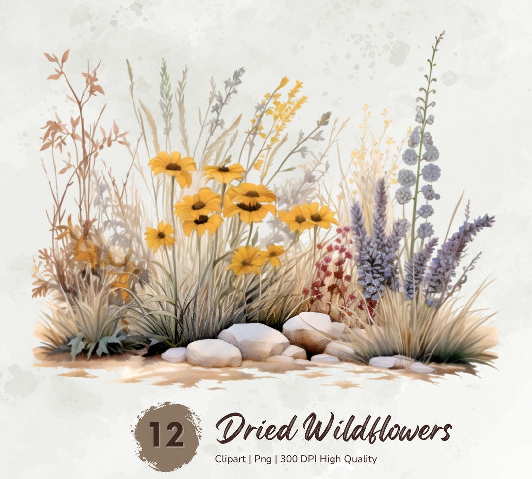 Watercolor Dried Wildflowers Clipart, Wildflower Clipart Bundle ...