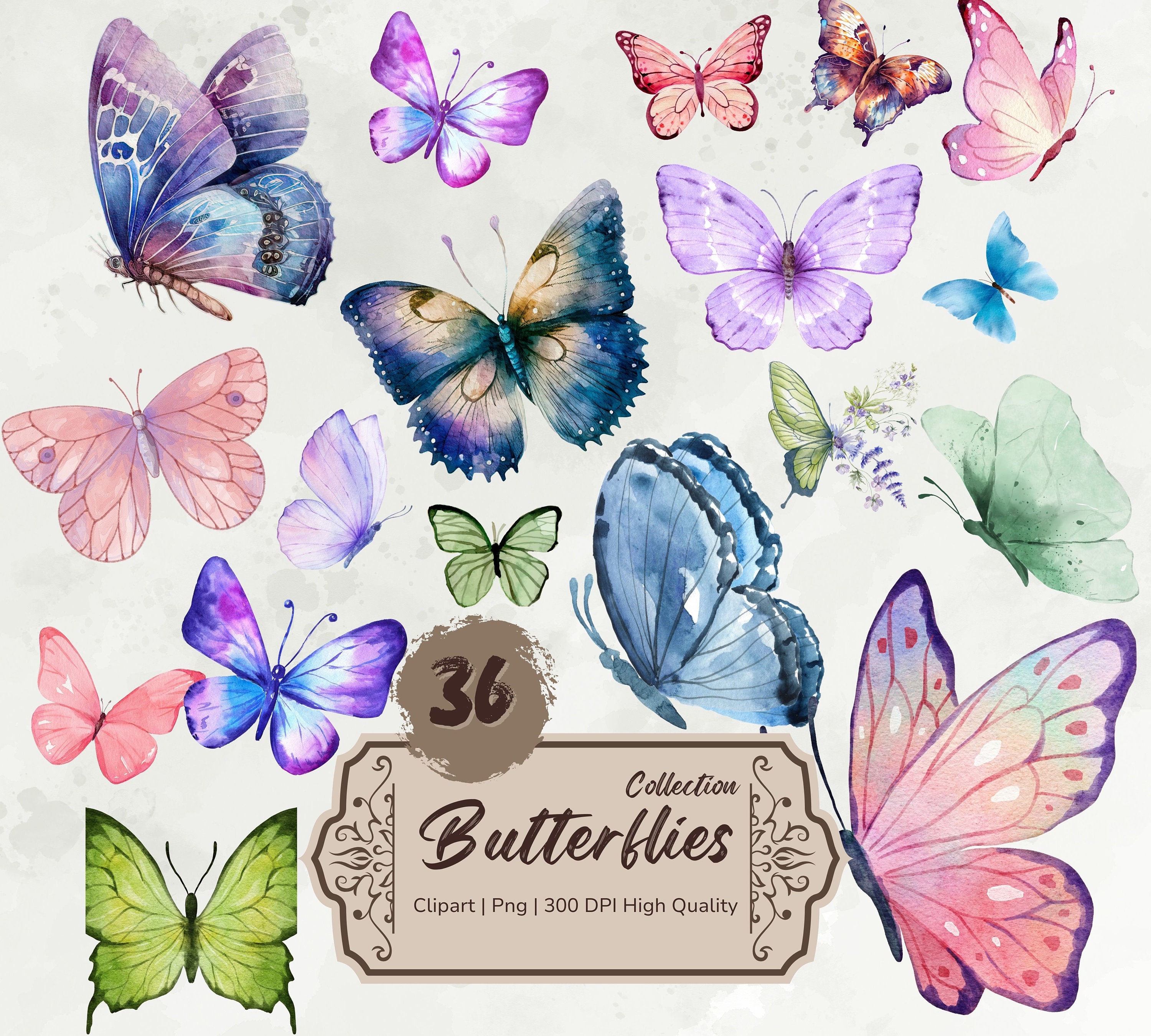 Colorful Butterflies Clipart, Colorful Watercolor Butterfly Clipart ...