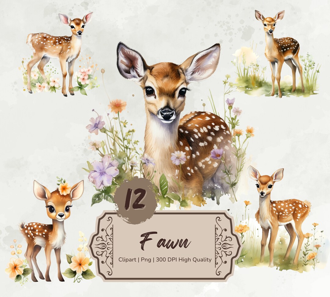 Cute Fawn Clipart, Watercolor Fawn Baby Clipart, Floral Fawn Png, Deer ...