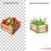 Watercolor Vegetables Clipart, Wooden Crate Fruits Clipart, Vegetable ...