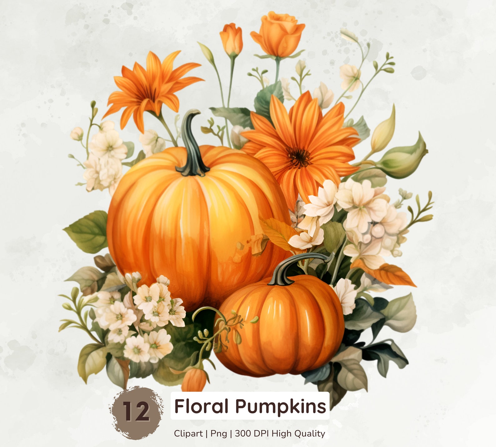 Floral Pumpkin Clipart, Fall Grapgics Png, Autumn Clipart, Watercolor ...
