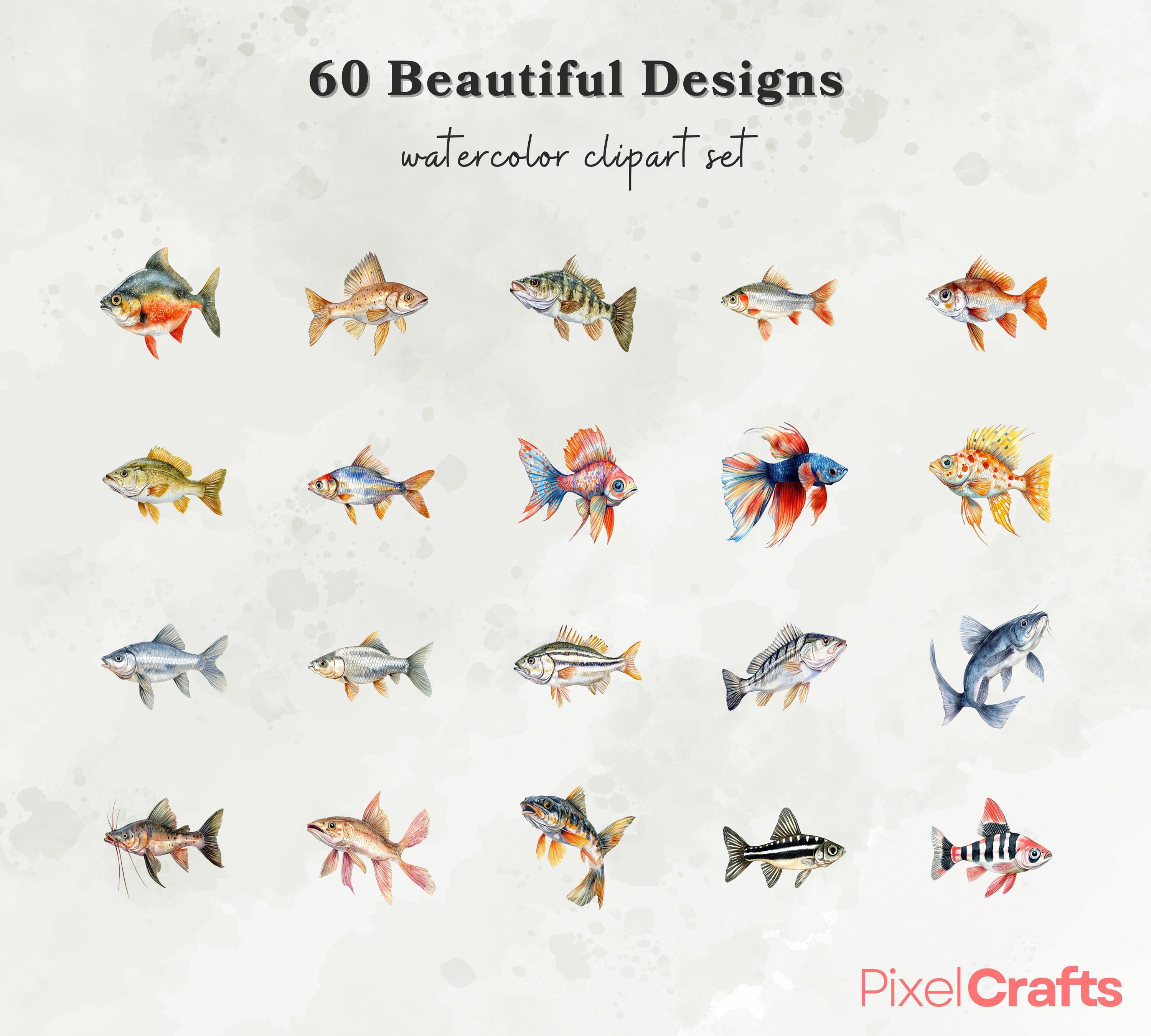 Fish Clipart Bundle, Freshwater Fishing Clipart, Fish Png, Watercolor ...