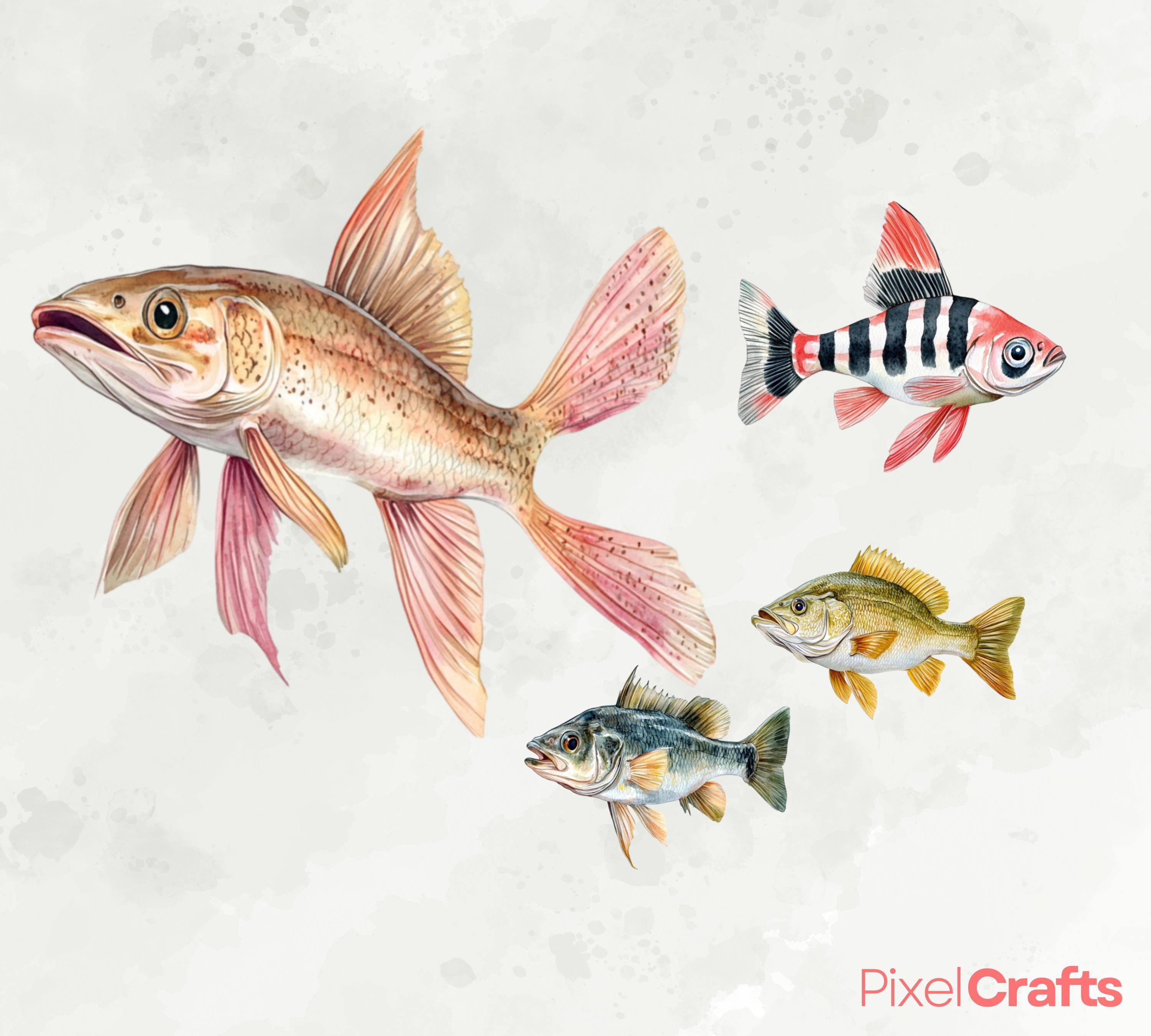 Fish Clipart Bundle, Freshwater Fishing Clipart, Fish Png, Watercolor ...