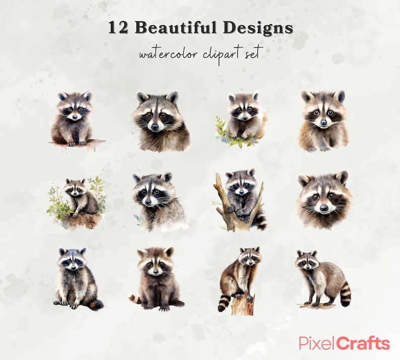 Watercolor Raccoon Clipart, Cute Raccoon Png, Floral Raccoon Stickers ...