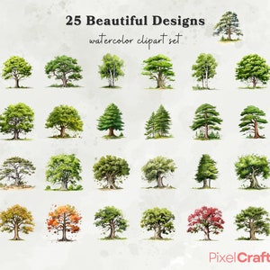 Watercolor Trees Clipart, Forest Clipart, Pine Trees Png, Oak Tree ...