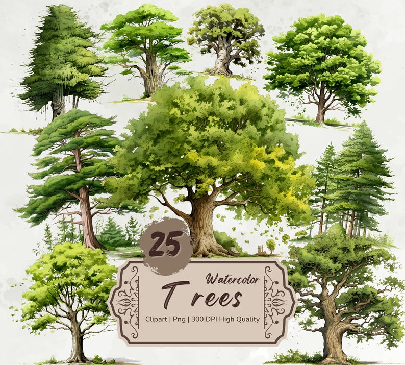 Watercolor Trees Clipart, Forest Clipart, Pine Trees Png, Oak Tree ...