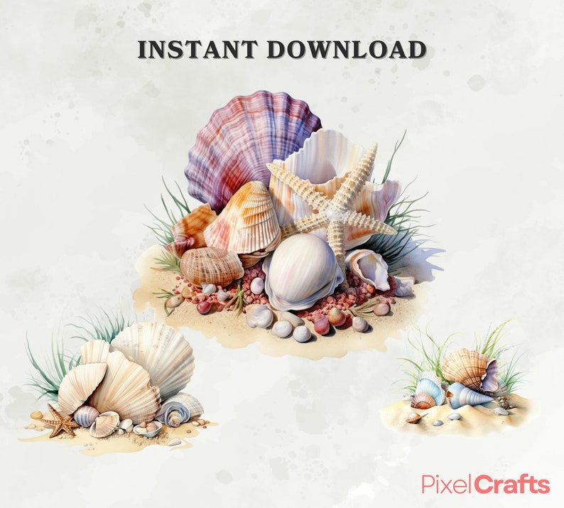 Watercolor Seashells Clipart, Sea Shells Png, Nautical Clipart, Ocean ...