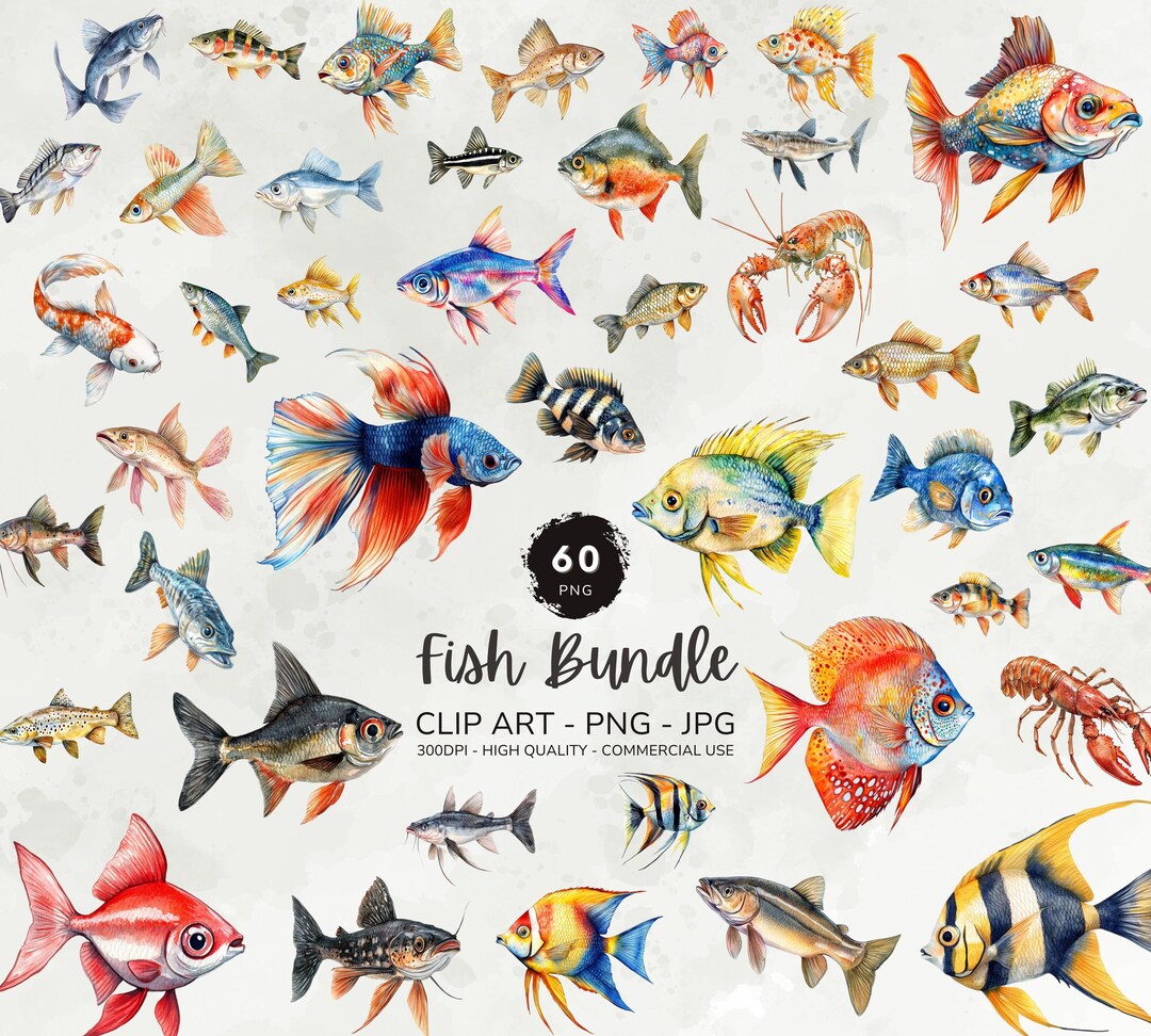 Fish Clipart Bundle, Freshwater Fishing Clipart, Fish Png, Watercolor ...