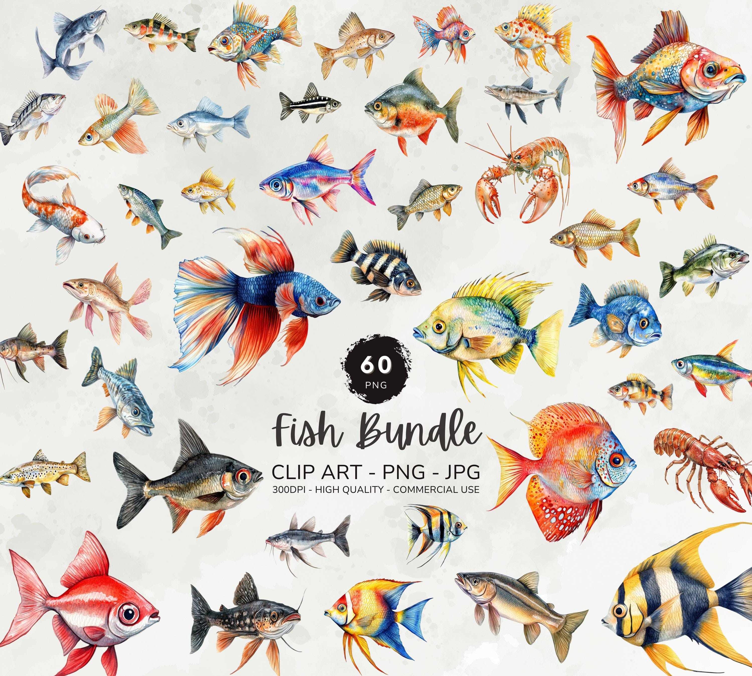 Fish Clipart Bundle, Freshwater Fishing Clipart, Fish Png, Watercolor ...