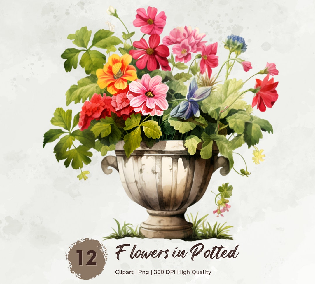 Watercolor Potted Flowers Clipart, Houseplants Clipart, Wiildflowers ...
