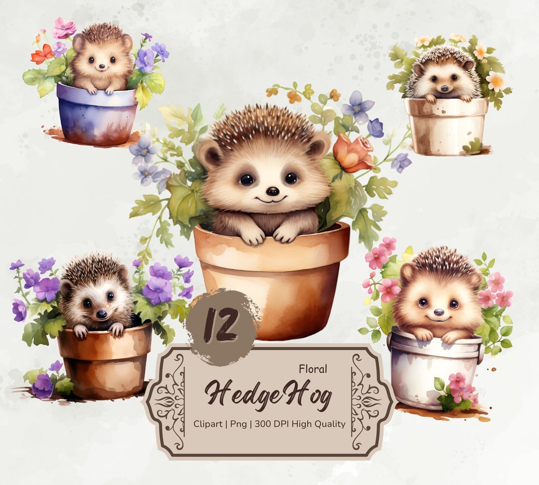 Cute Hedgehog Clipart, Watercolor Floral Hedgehog in Potted Clipart ...