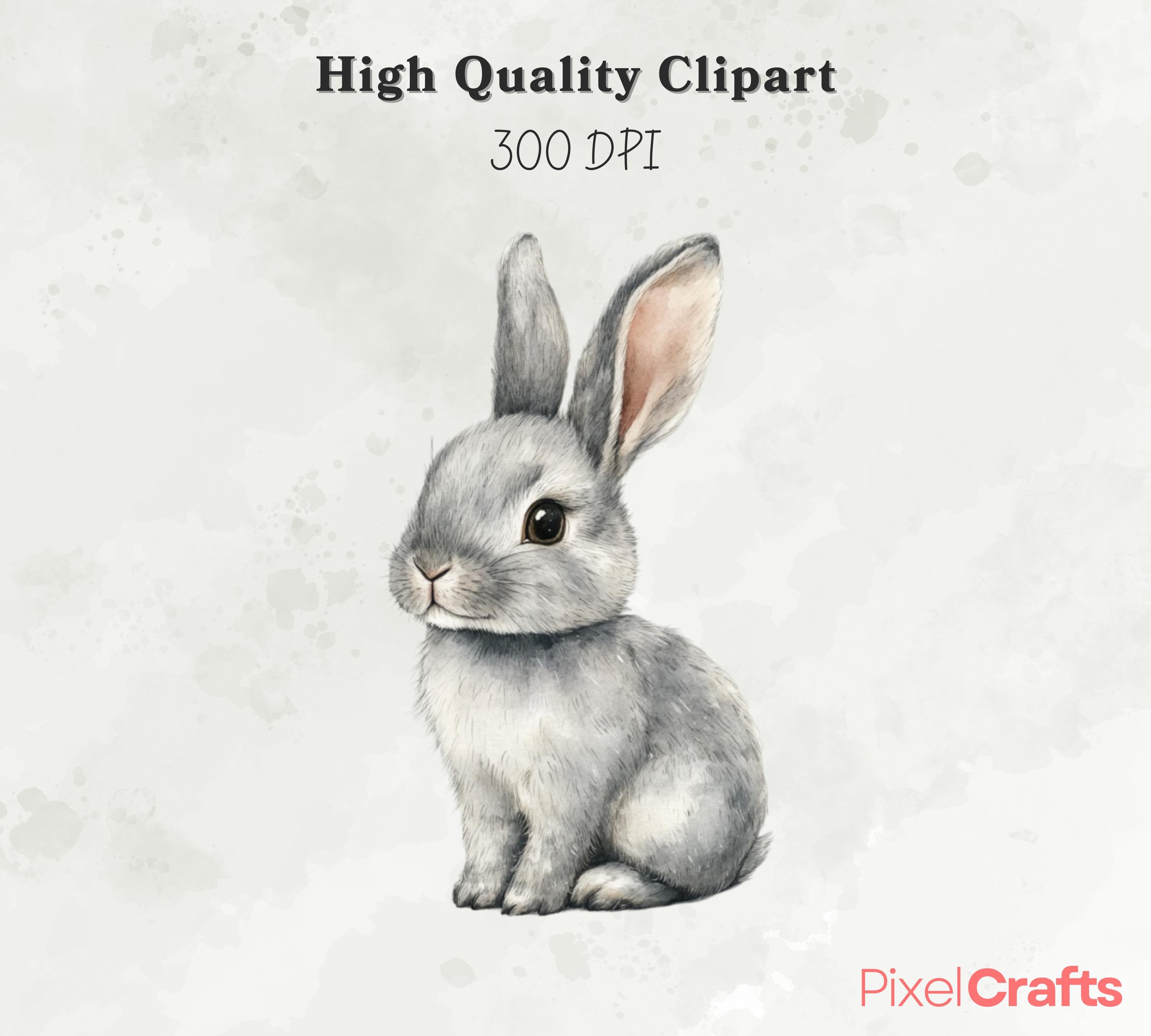 Watercolor Woodland Animals Clipart, Cute Baby Animals Pngs, Nursery ...