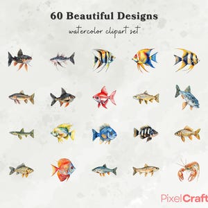 Fish Clipart Bundle, Freshwater Fishing Clipart, Fish Png, Watercolor ...