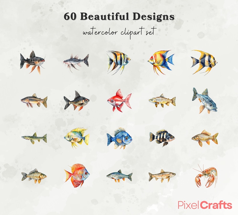 Fish Clipart Bundle, Freshwater Fishing Clipart, Fish Png, Watercolor ...