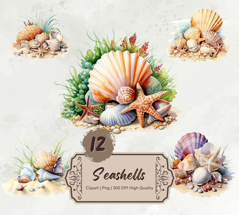 Watercolor Seashells Clipart, Sea Shells Png, Nautical Clipart, Ocean ...
