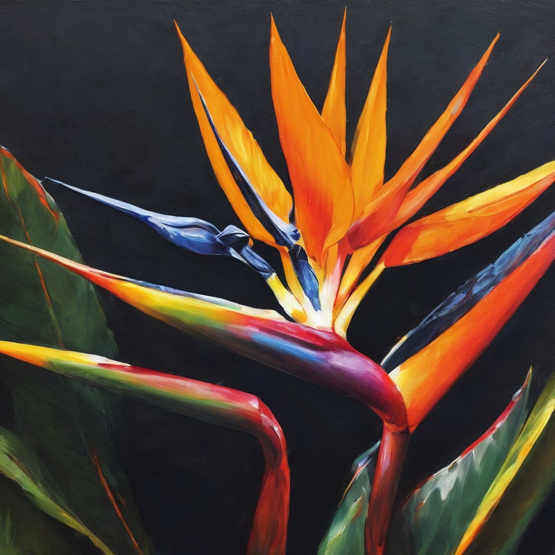 Strelitzia Art - Etsy