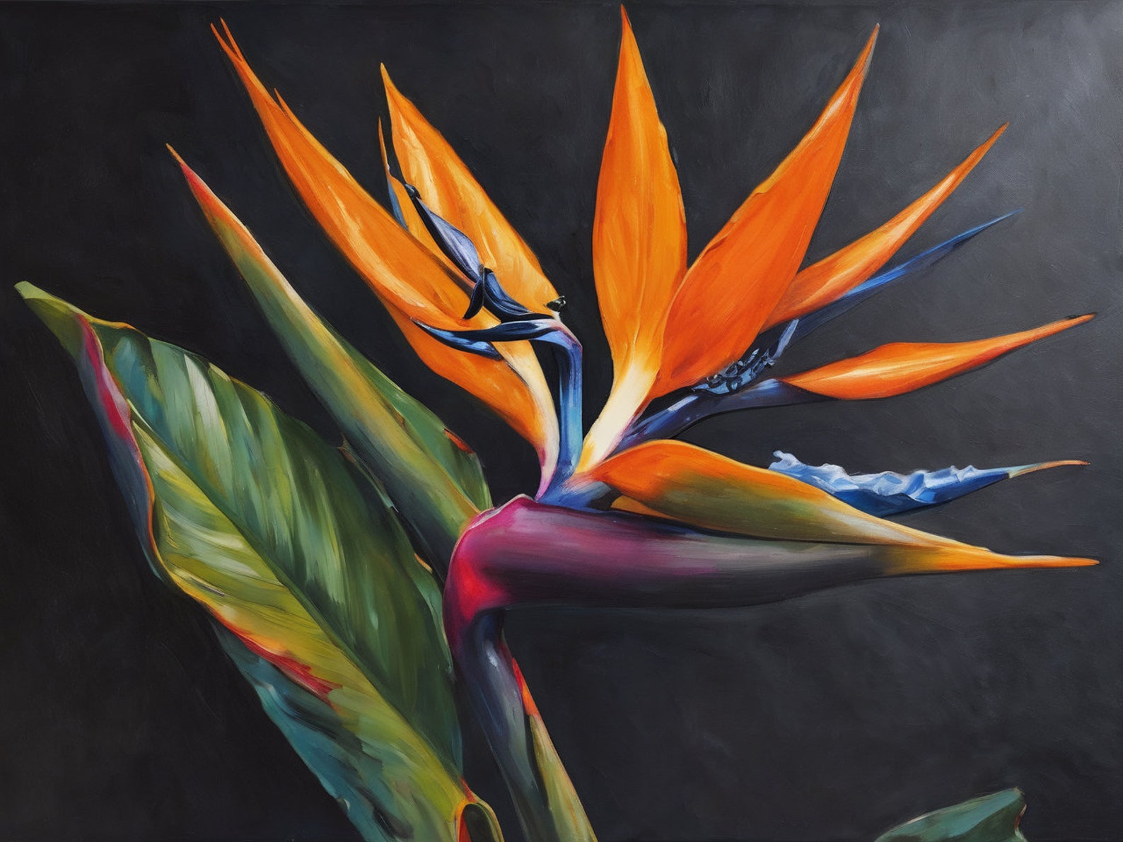 Strelitzia Flower Digital Print Black Background Bird of Paradise ...