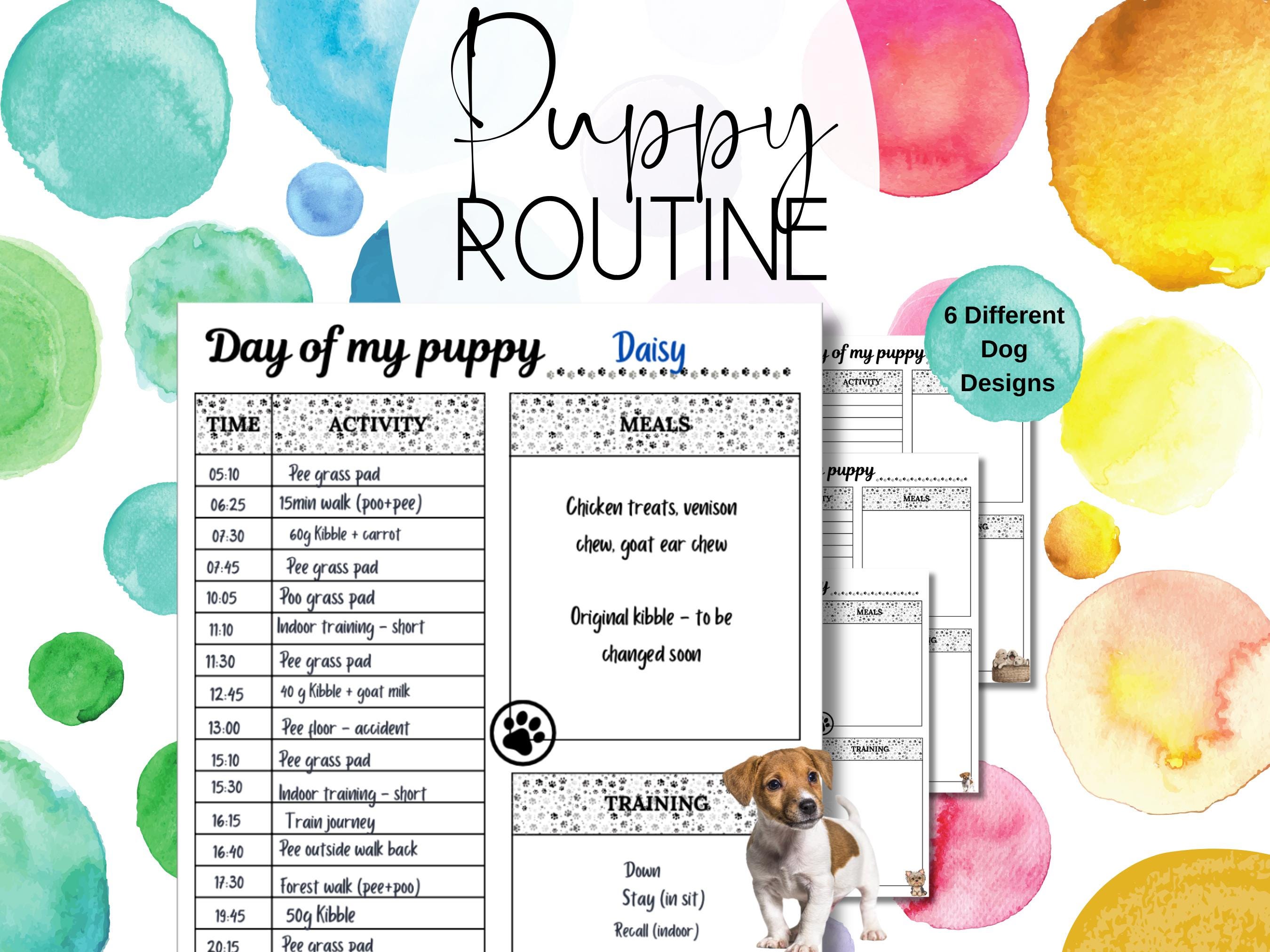 Printable Puppy Routine Daily Meal Training Potty Tracker PDF Puppy ...