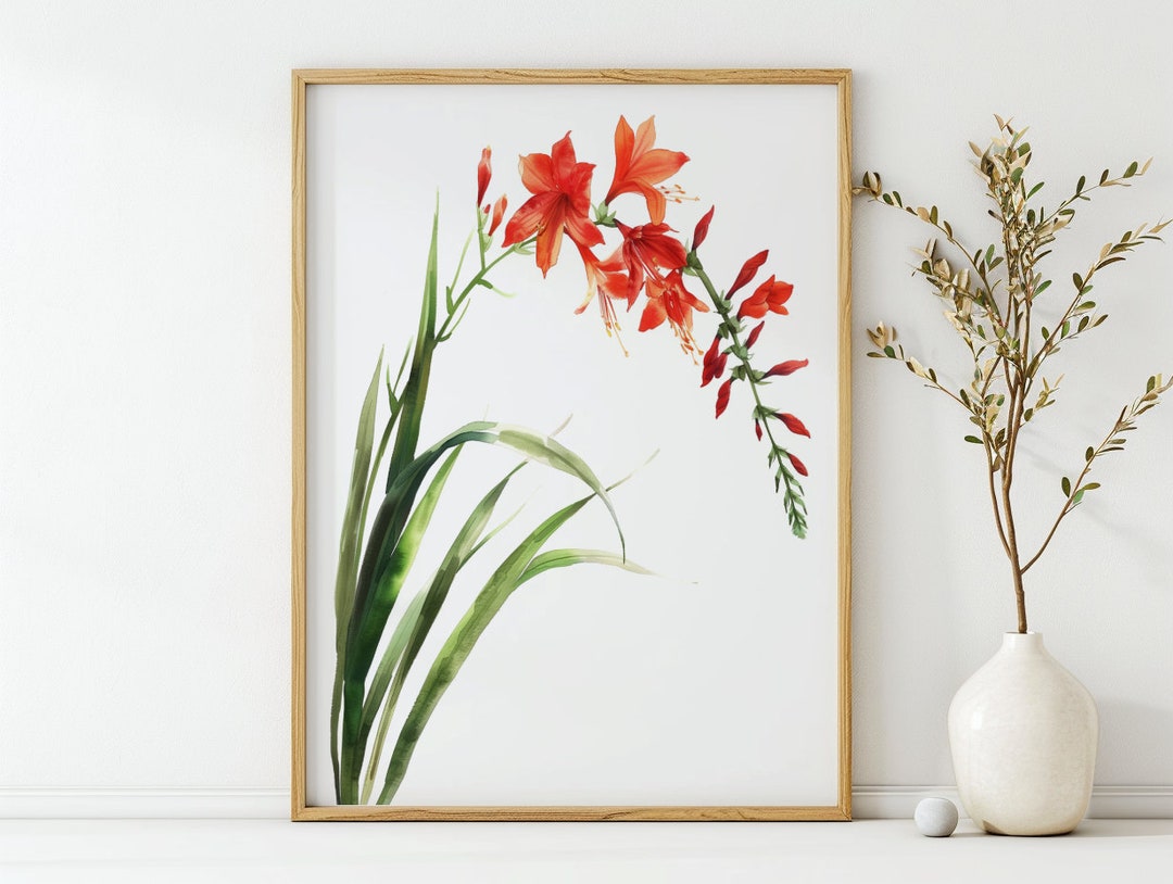Crocosmia 'lucifer' Flower Watercolor Art, Wall Art, Plant Print ...
