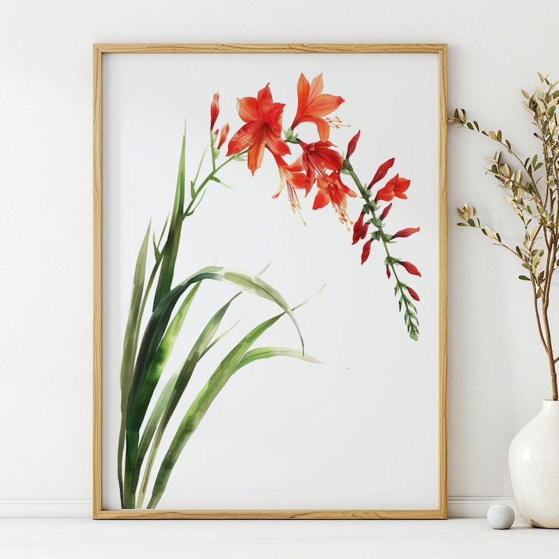 Lucifer Plant - Etsy