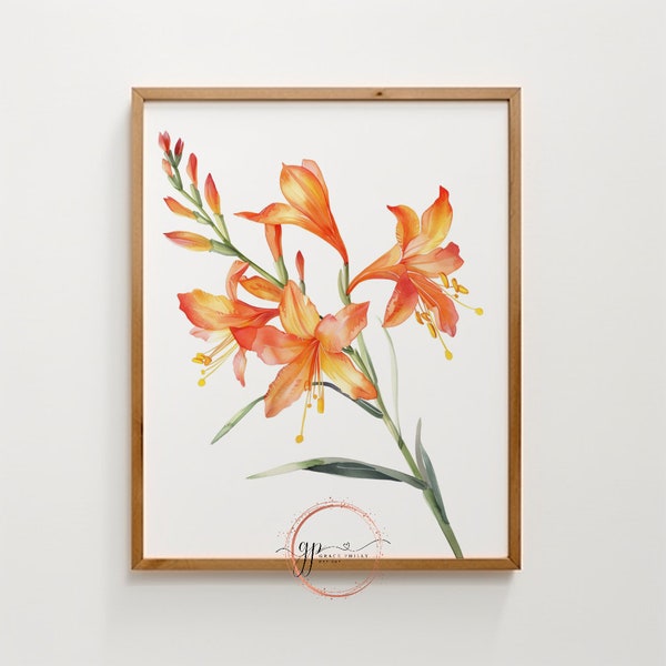 Lucifer Plant - Etsy