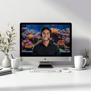 Aquarium Zoom Background Fish Tank Zoom Background Zoom Meeting ...