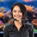 Aquarium Zoom Background Fish Tank Zoom Background Zoom Meeting ...