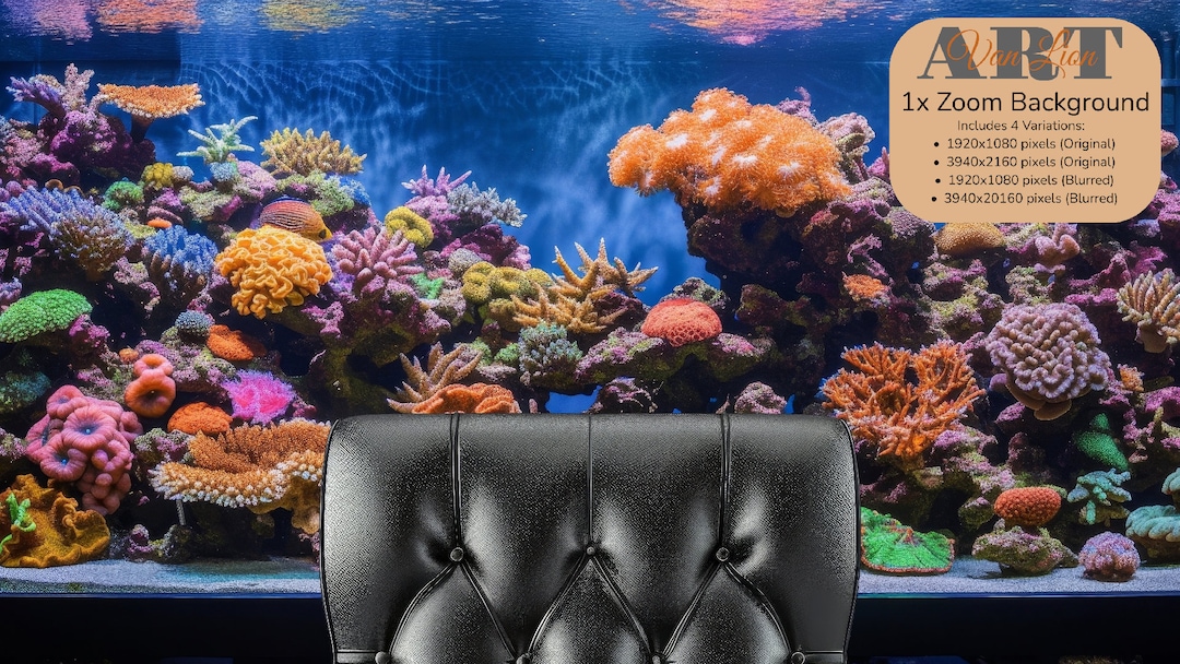 Aquarium Zoom Background Fish Tank Zoom Background Zoom Meeting ...