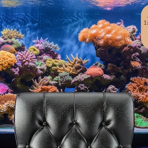 Aquarium Zoom Background Fish Tank Zoom Background Zoom Meeting ...