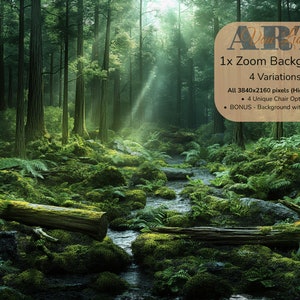 Nature Zoom Background With Chair Forest Zoom Background Outdoor Zoom ...