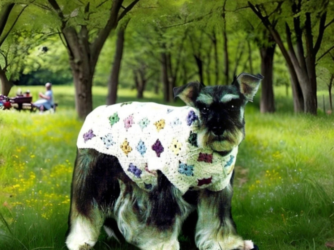 Crochet Pattern Xxxl-xs-retro Dog Sweater-neck 20 to 5 Inches-vintage ...