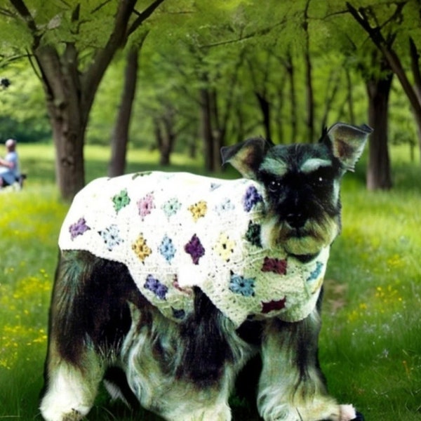Granny Square Dog Coat Crochet Pattern - Etsy