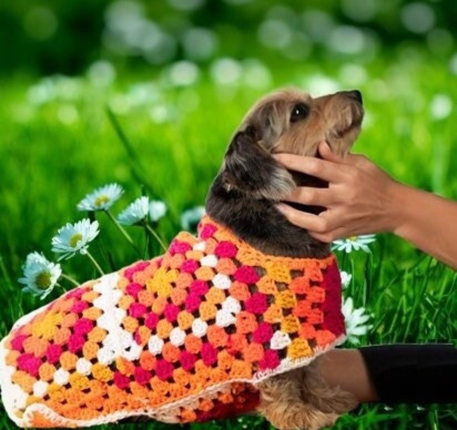 Crochet Dog Sweater-s/m/l/xl Granny Square Pattern One Ball No Yarn ...