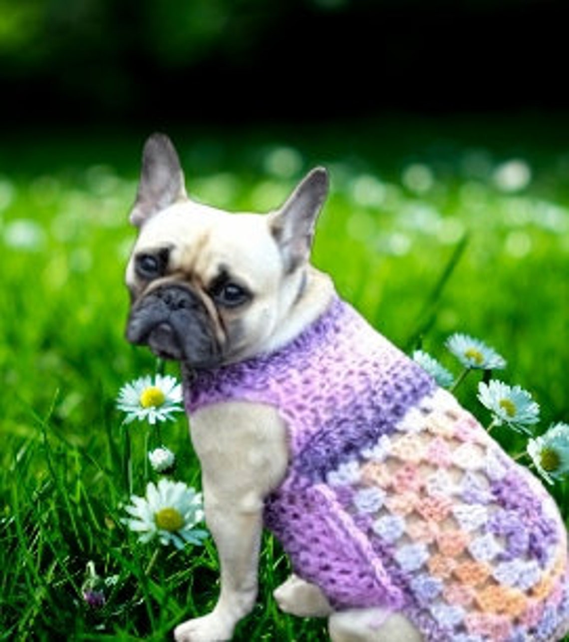 Adjustable Size Crochet Granny Dog Sweater Pattern Digital This Pattern ...