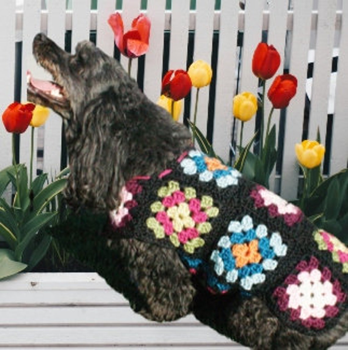 5 Patterns Crochet Granny Squares Patterns-dog Sweater Patterns Digital ...