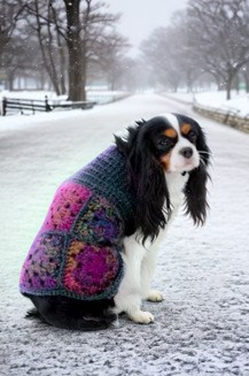 Crochet Pattern Granny Square Dog Sweater Digital Download, *s/m/l/xl ...