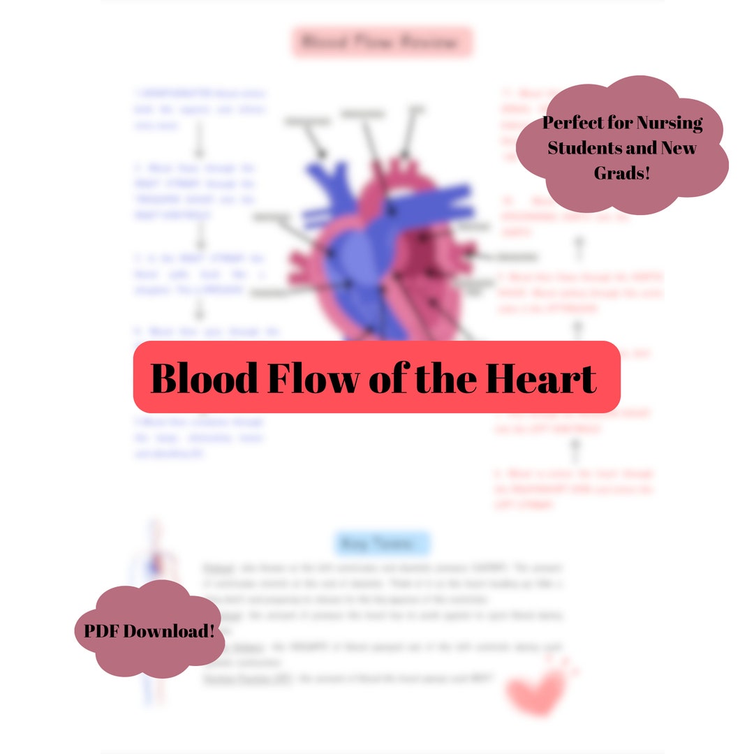 Blood Flow of the Heart Review Nursing School & NCLEX Prep Guide - Etsy