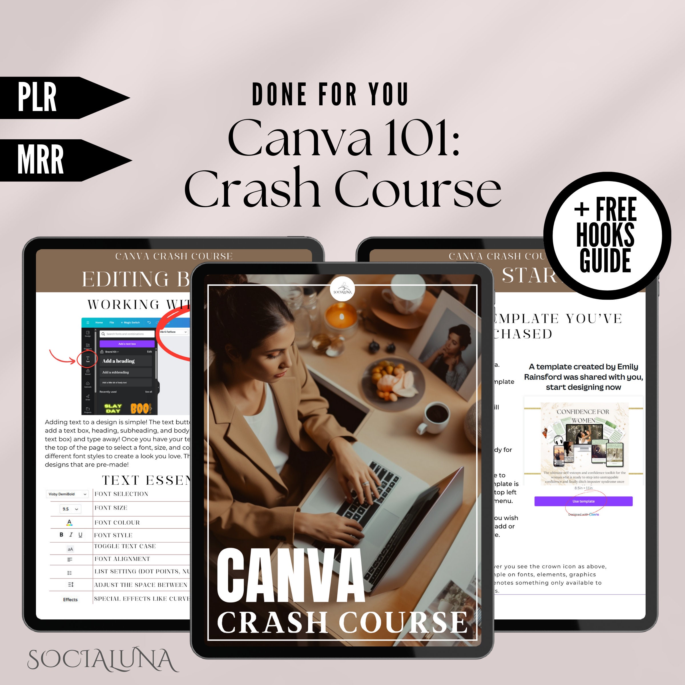 PLR MRR Canva Guide Ebook Master Resell Rights MRR and Private Label ...