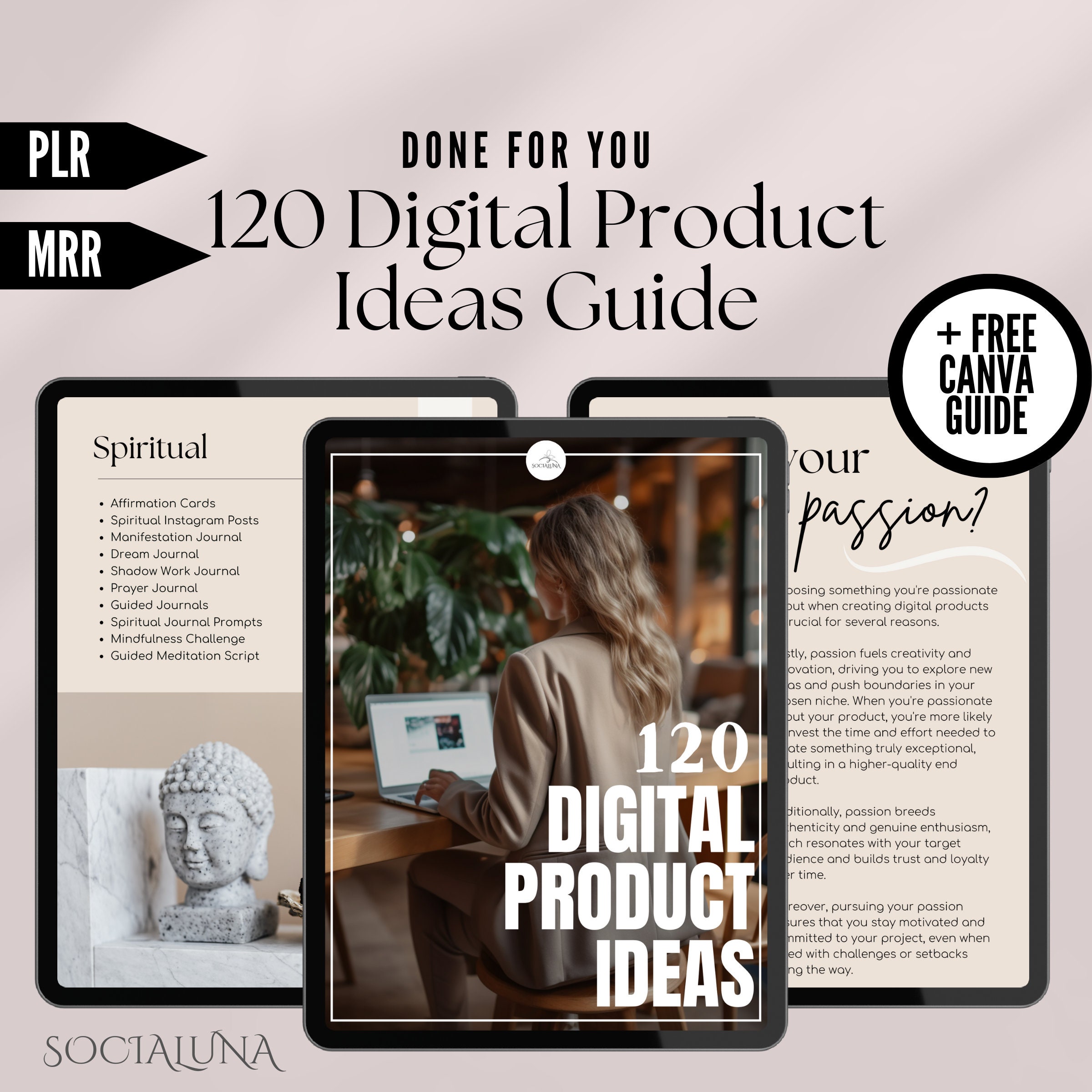PLR MRR 120 Digital Product Idea Guides Ebook Master Resell Rights and Private Label Rights Plr ...