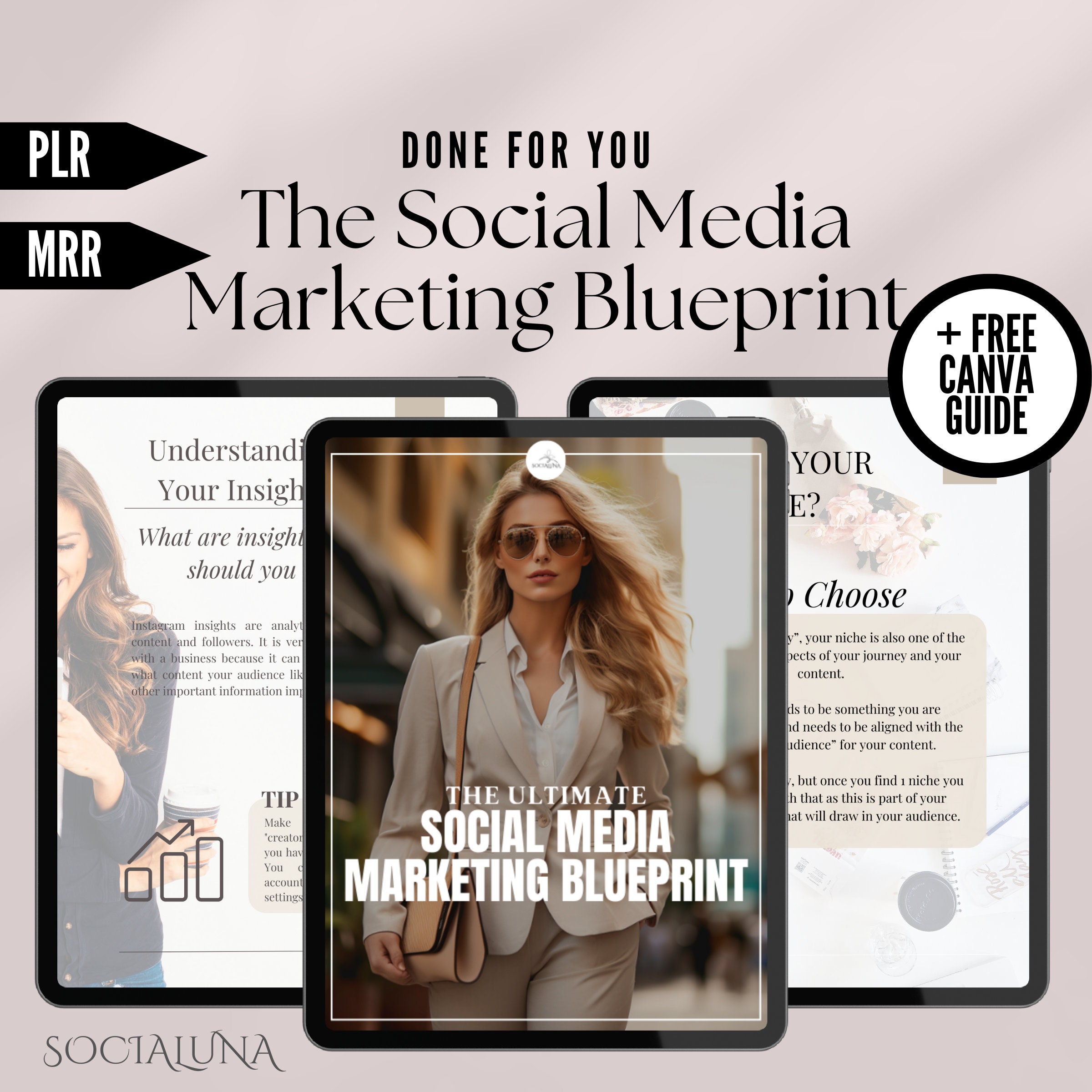 PLR MRR the Ultimate Social Media Marketing Blueprint Ebook Master Resell Rights and Private ...