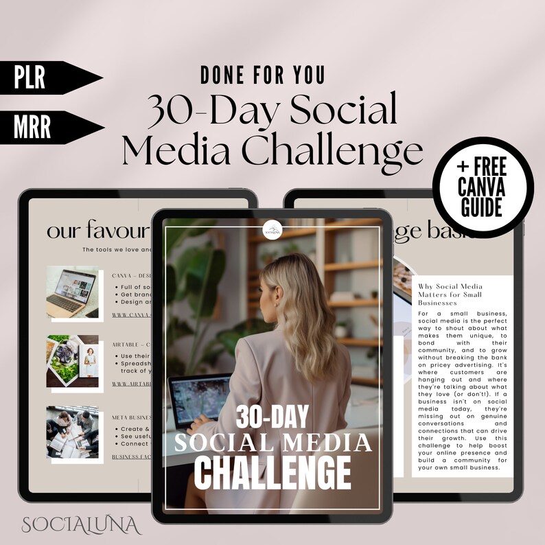 PLR MRR 30 Day Social Media Challenge Ebook Master Resell Rights MRR ...