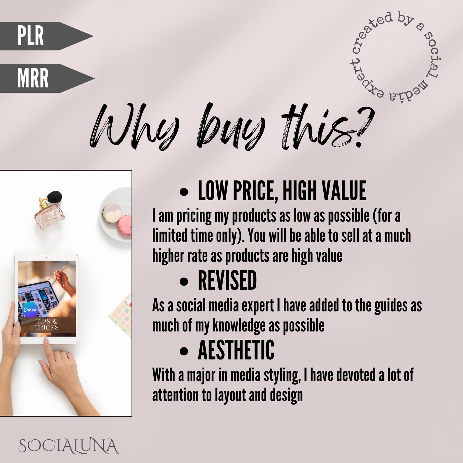 PLR MRR Canva Crash Course Ebook Master Resell Rights MRR and Private ...