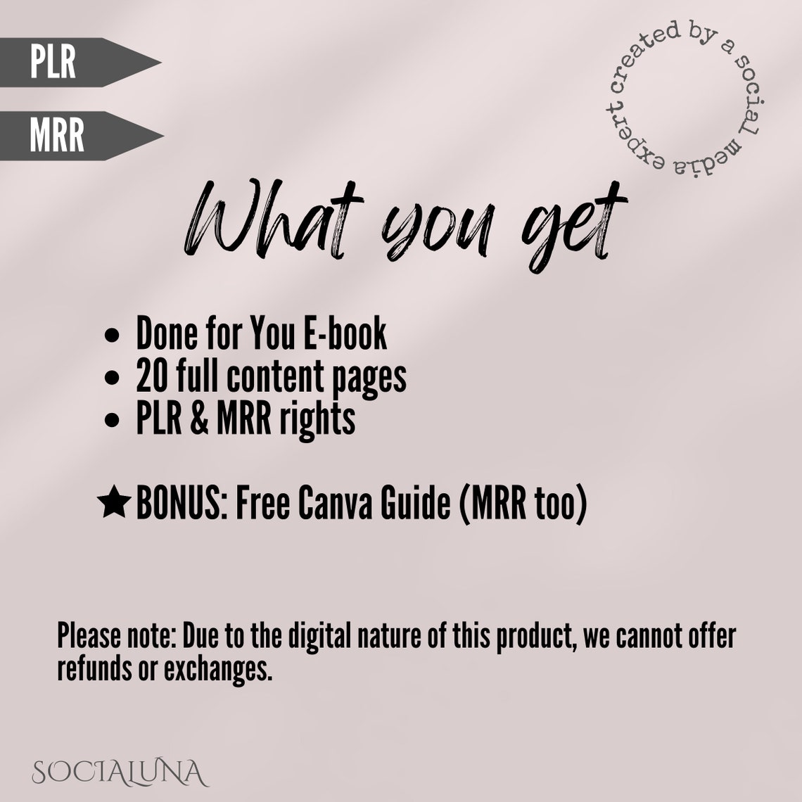 PLR Guide How to Create and Sell Digital Products With Master Resell ...