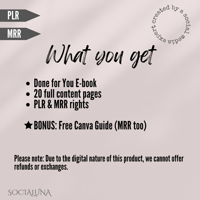 PLR Guide How to Create and Sell Digital Products With Master Resell Rights MRR and Private ...