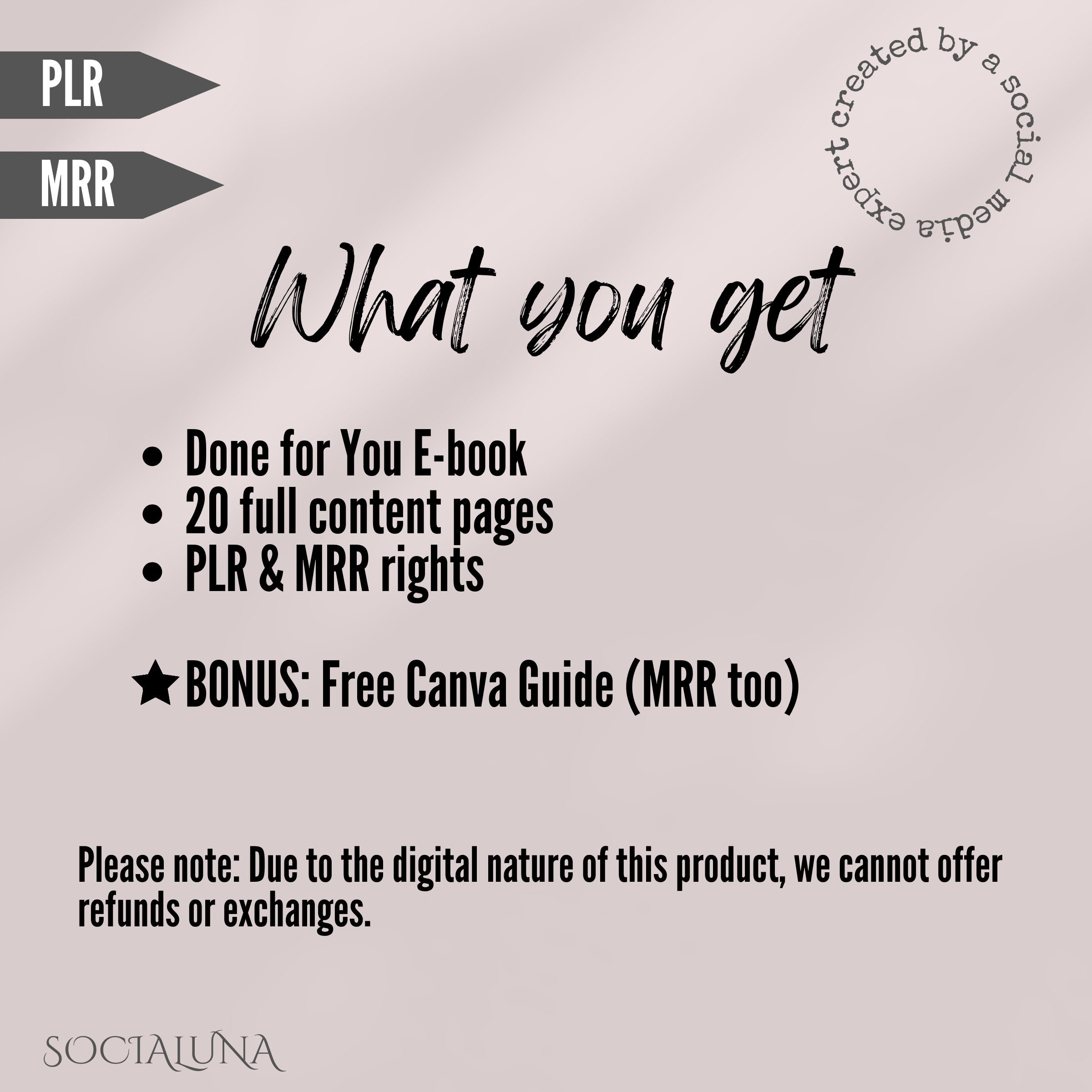 PLR Guide How to Create and Sell Digital Products With Master Resell ...