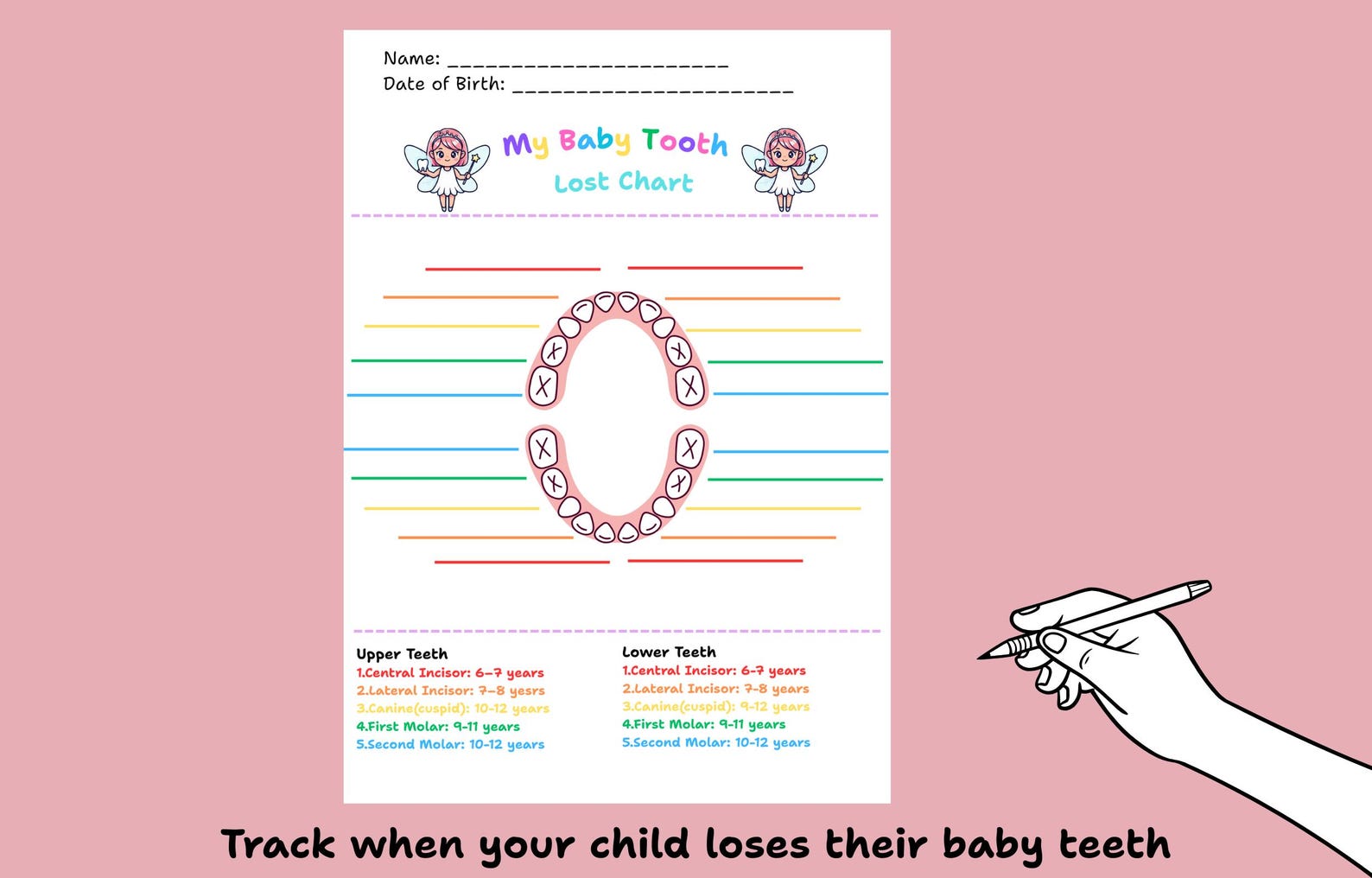 Printable Baby Tooth Charts | Tooth Eruption & Lost Tooth Chart Bundle ...