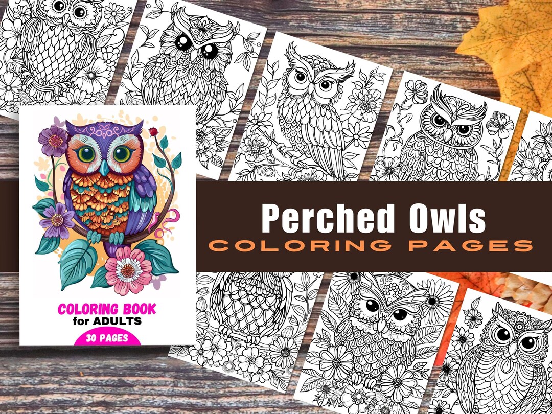 Owls on Perch Coloring Book, 30 Coloring Pages, Digital Download, Self ...