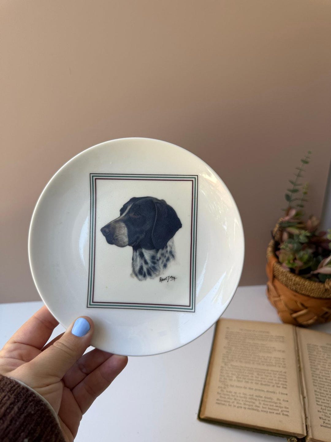 Vintage Decorative Plate With Pointer Dog Art | Signed Robert May ...